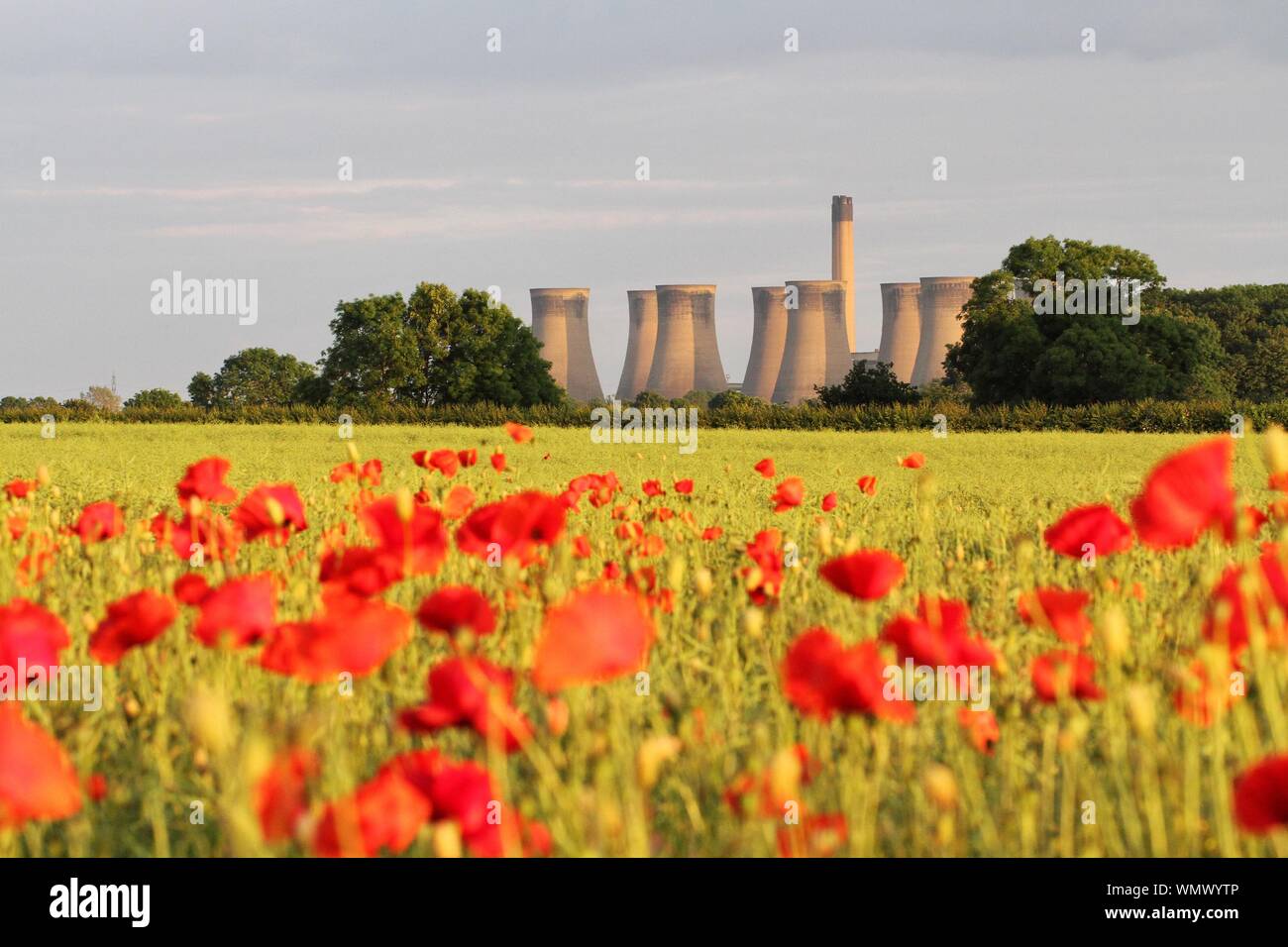 Cooling tower poppy hi-res stock photography and images - Alamy