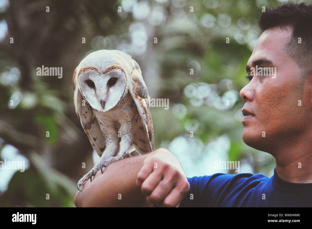 Real owl hi-res stock photography and images - Alamy