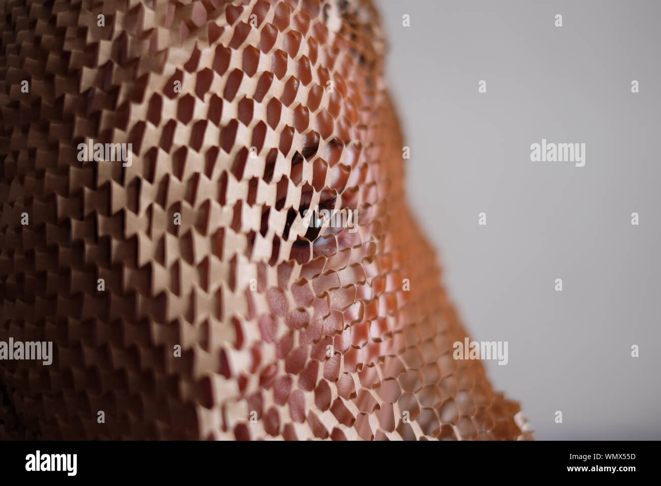 Portrait Of Person With Face Covered By Patterned Paper Stock Photo - Alamy