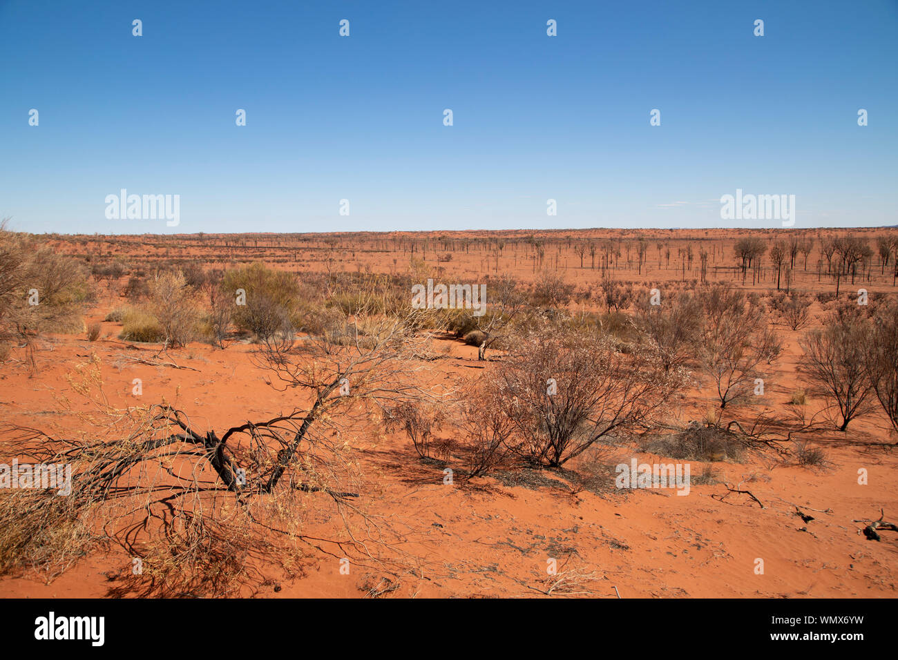 Simpson Desert High Resolution Stock Photography and Images - Alamy