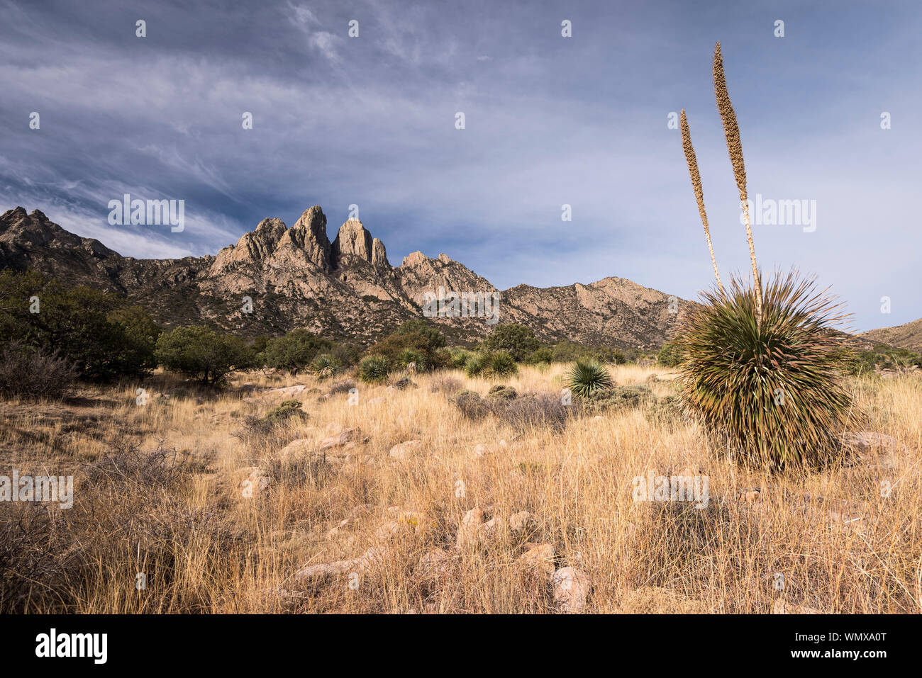 Organ Mountains Desert Peaks National Monument, New Mexico Stock Photo ...