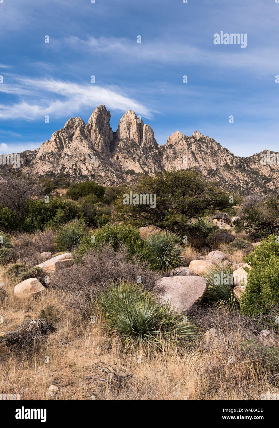 Organ Mountains Desert Peaks National Monument, New Mexico Stock Photo ...
