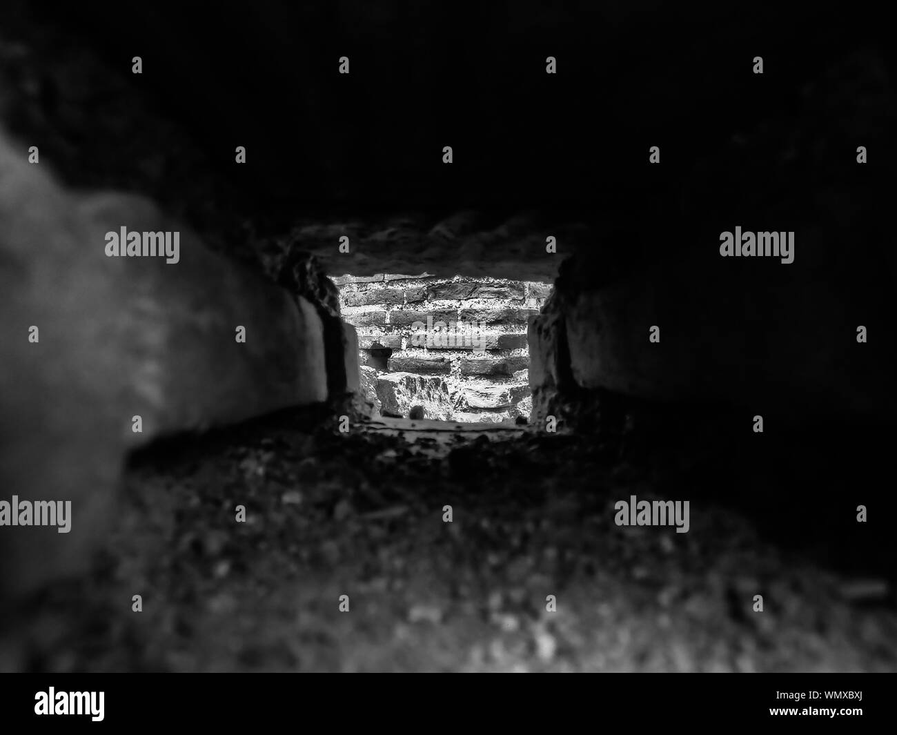 Basilica of st stone hi-res stock photography and images - Alamy