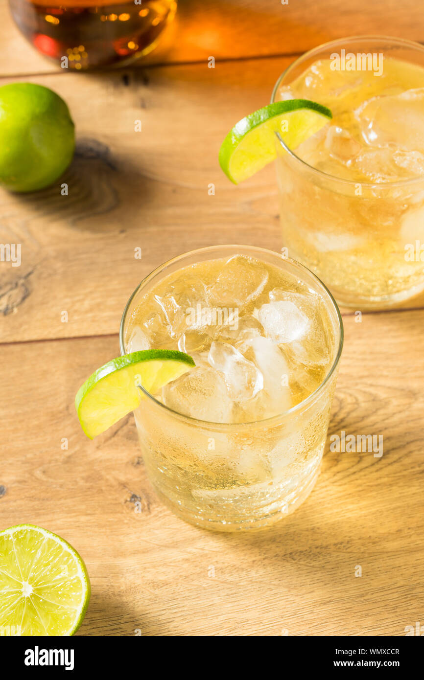 Homemade Rum and Tonic Cocktail with Lime Stock Photo - Alamy
