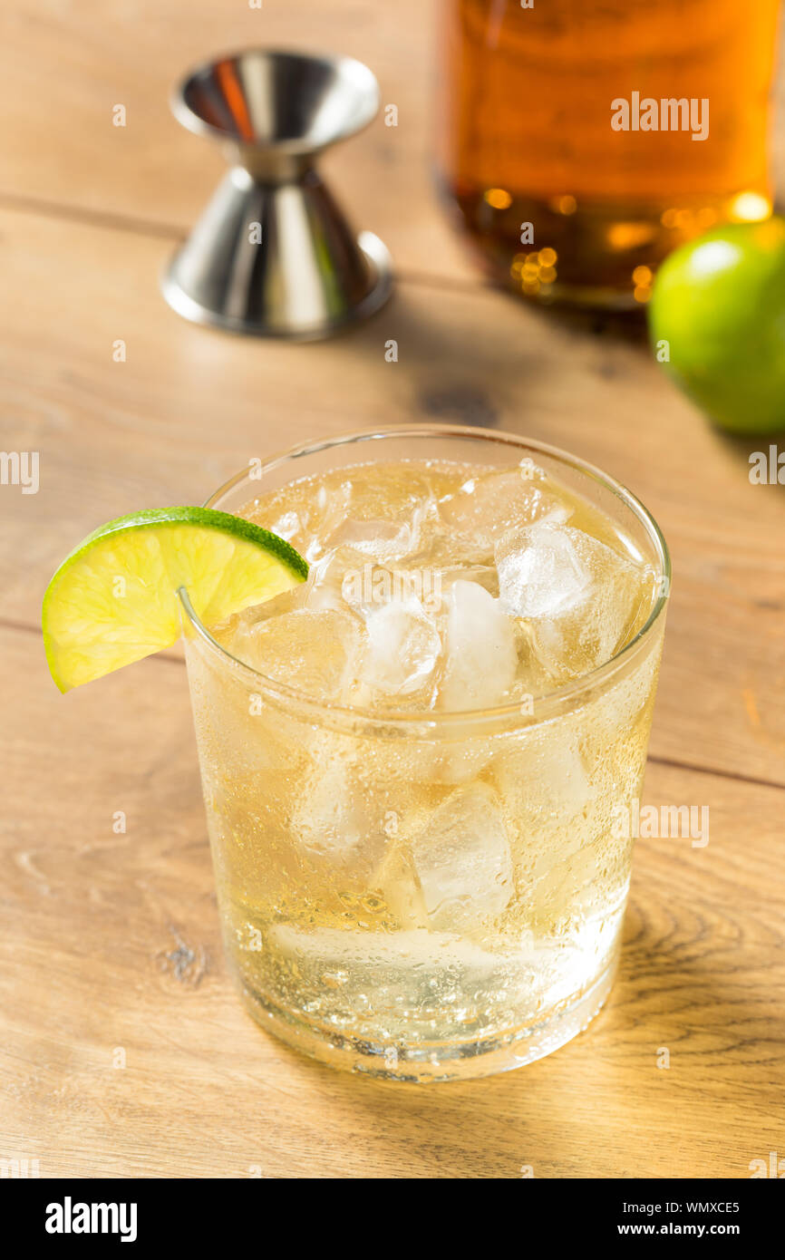 Homemade Rum and Tonic Cocktail with Lime Stock Photo - Alamy