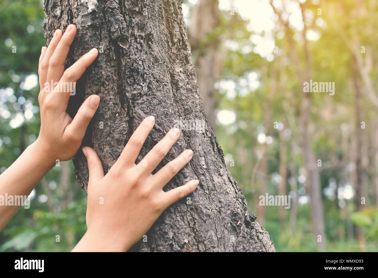 Woman with tree hi-res stock photography and images - Alamy