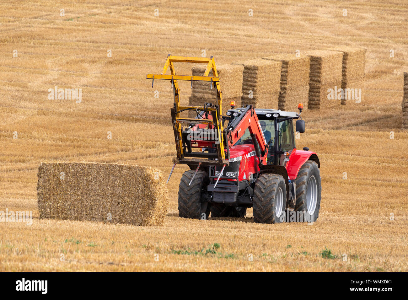 Agriculture - a tractor collecting bales of hay following the ...
