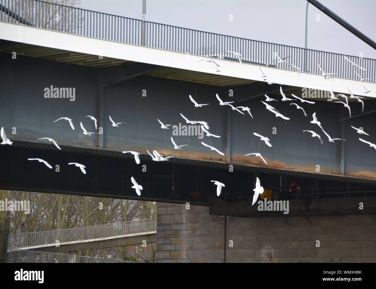 Flying bridge hi-res stock photography and images - Alamy