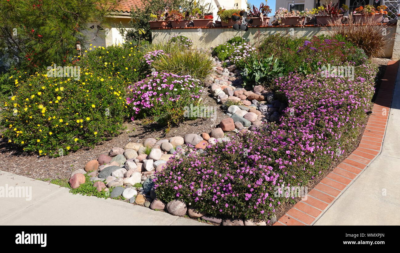 Medium close up of beautifully done drought-tolerant landscaping in a ...