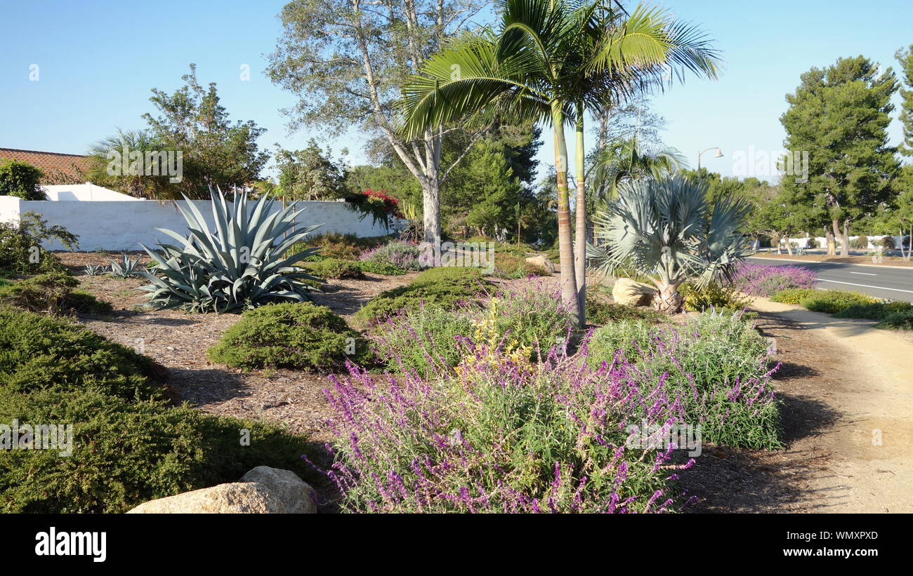 Turf replacement project in public park shows that drought-tolerant ...