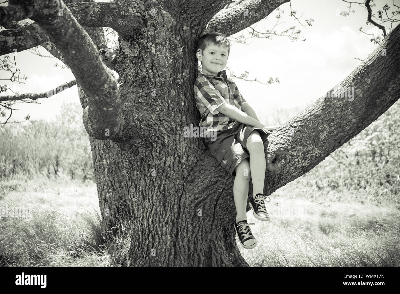 Boy sitting on tree branch hi-res stock photography and images - Alamy