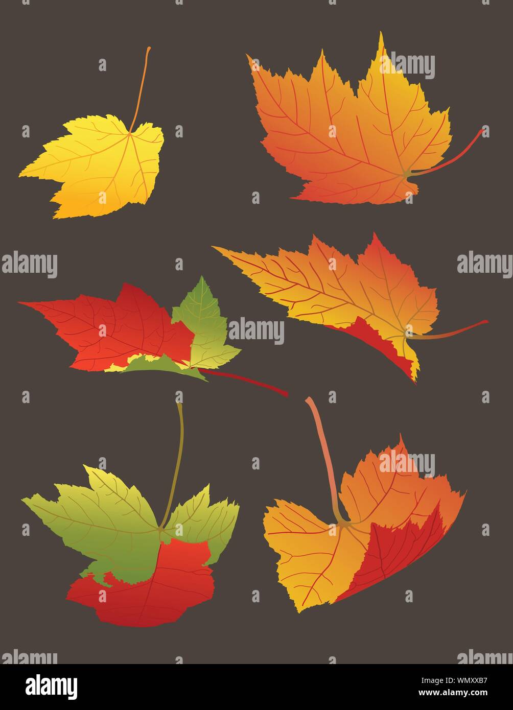 Falling Autumn Leaves Stock Vector Image & Art - Alamy