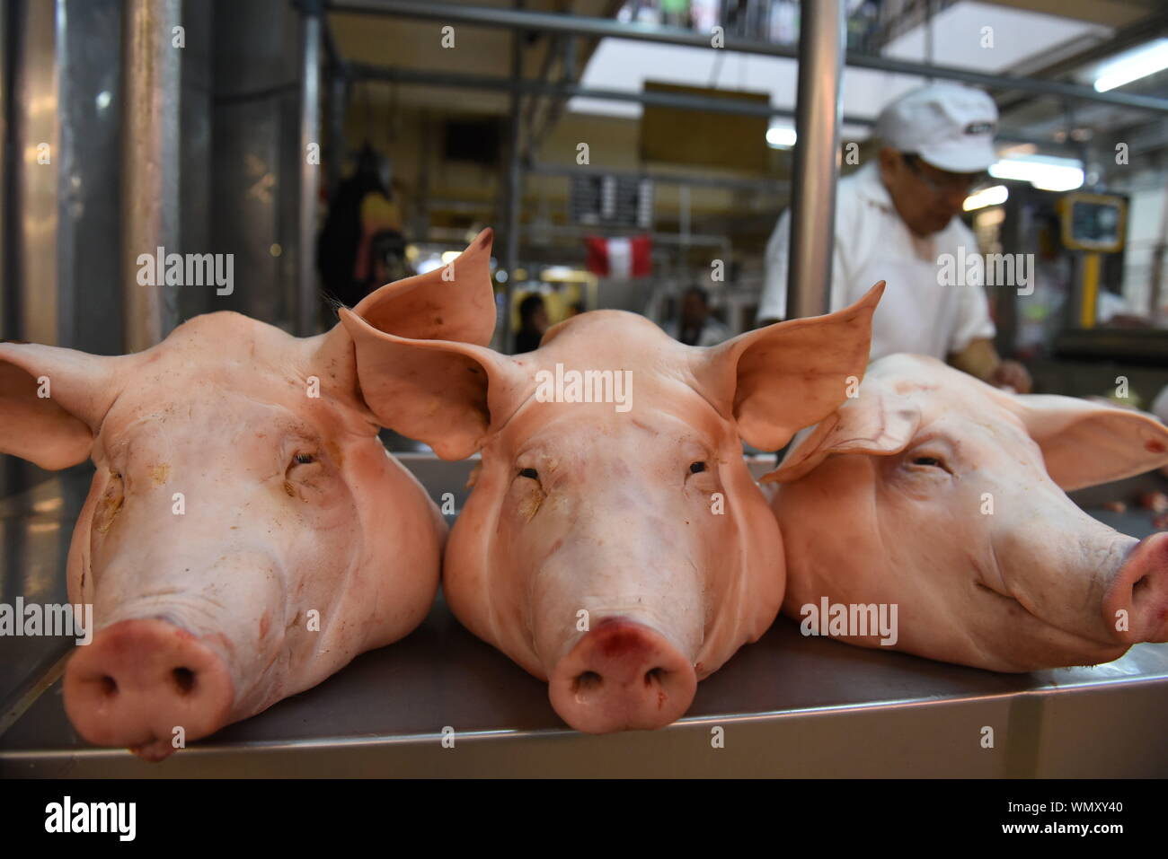 September 5, 2019, Lima, Peru: Pig heads being displayed at the Central ...