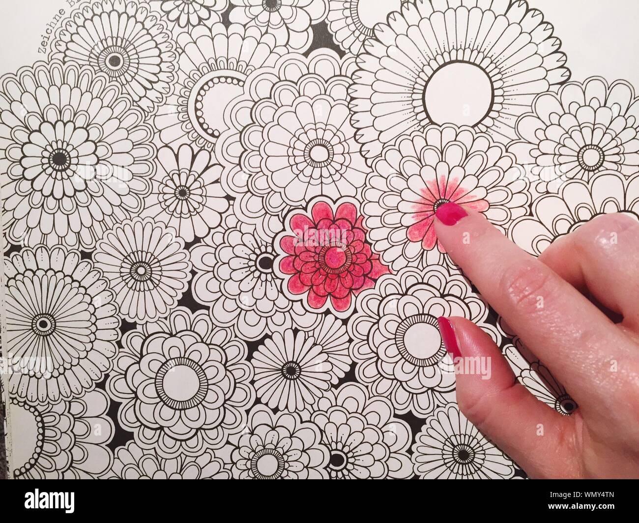 Woman drawing hi-res stock photography and images - Alamy