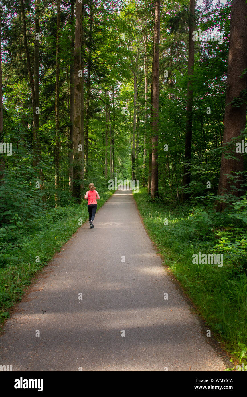 Trail through dense forest in Bavaria alps of Germany. Fit woman runs ...