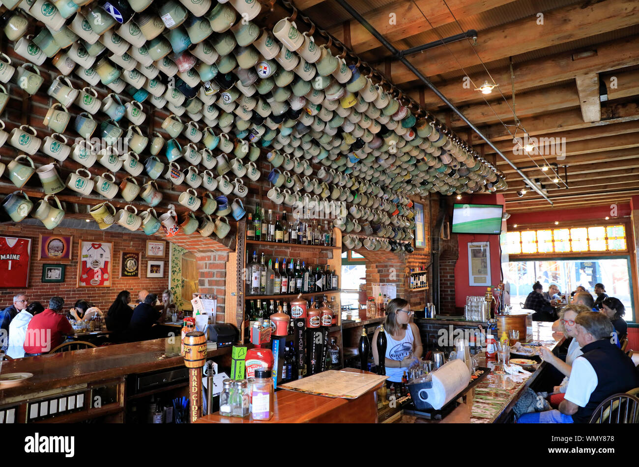 Beer mugs hanging over the bar of Gritty's Portland Brew Pub.Old Port ...