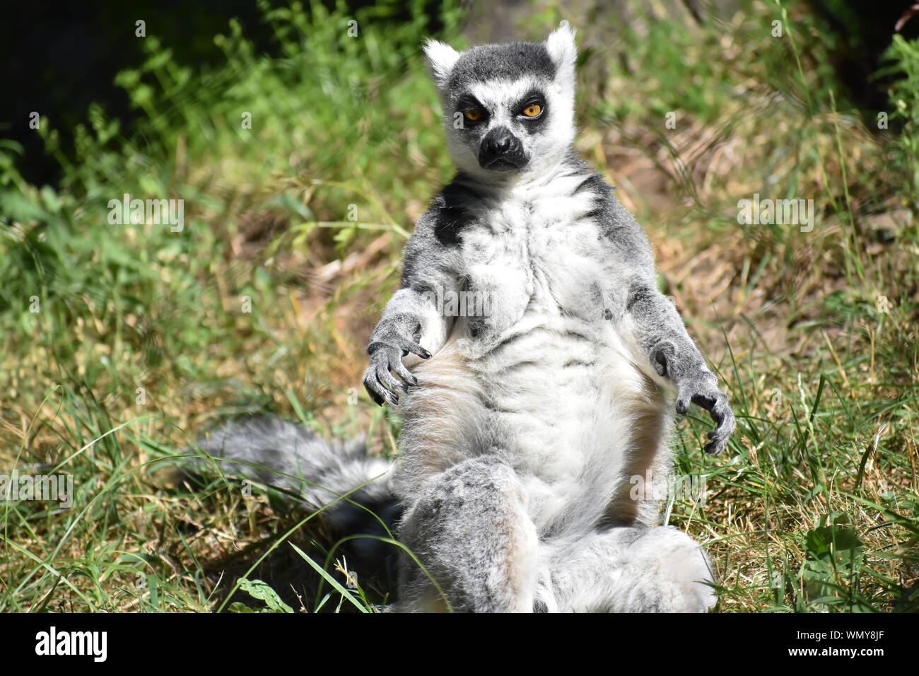 Invisible Motorcycle Rider Stock Photo - Alamy