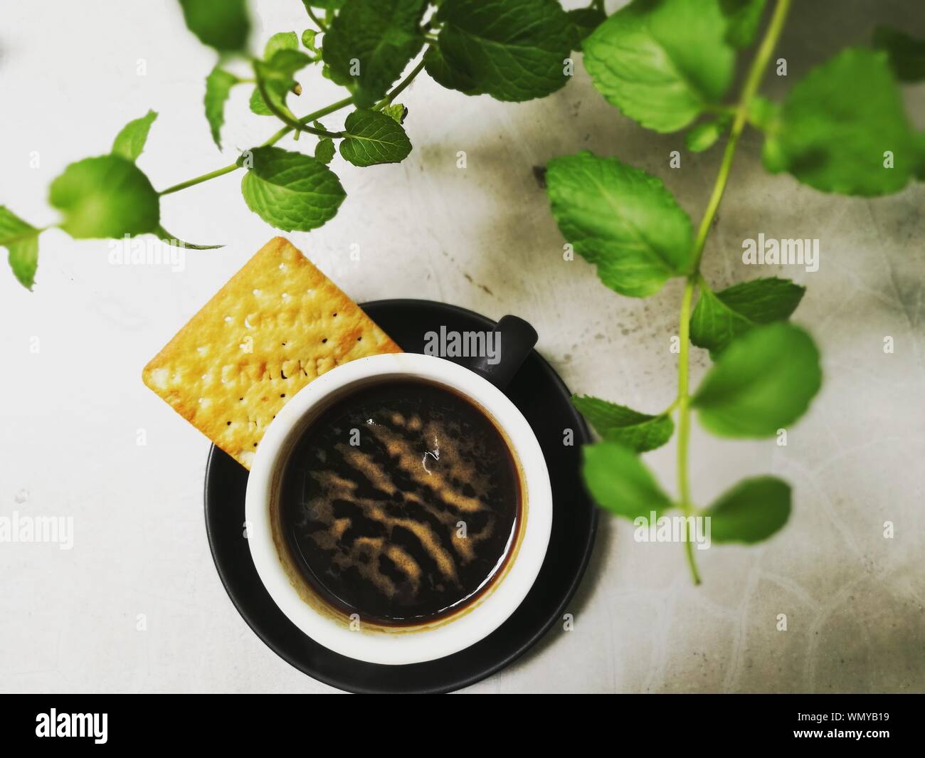 Stem saucer hi-res stock photography and images - Alamy