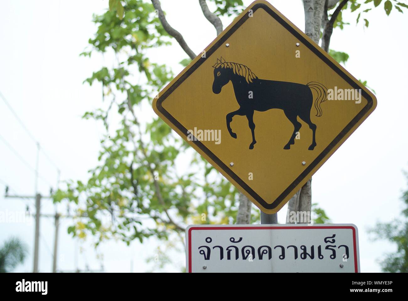 Animal Sign Board High Resolution Stock Photography and Images - Alamy