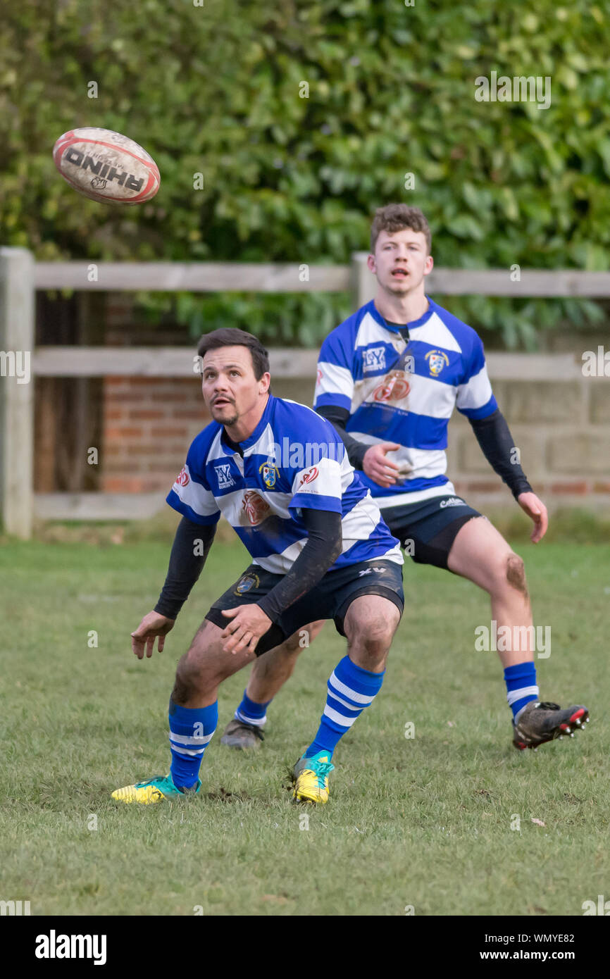 Amateur rugby union from Norfolk, East Anglia, England Stock Photo - Alamy