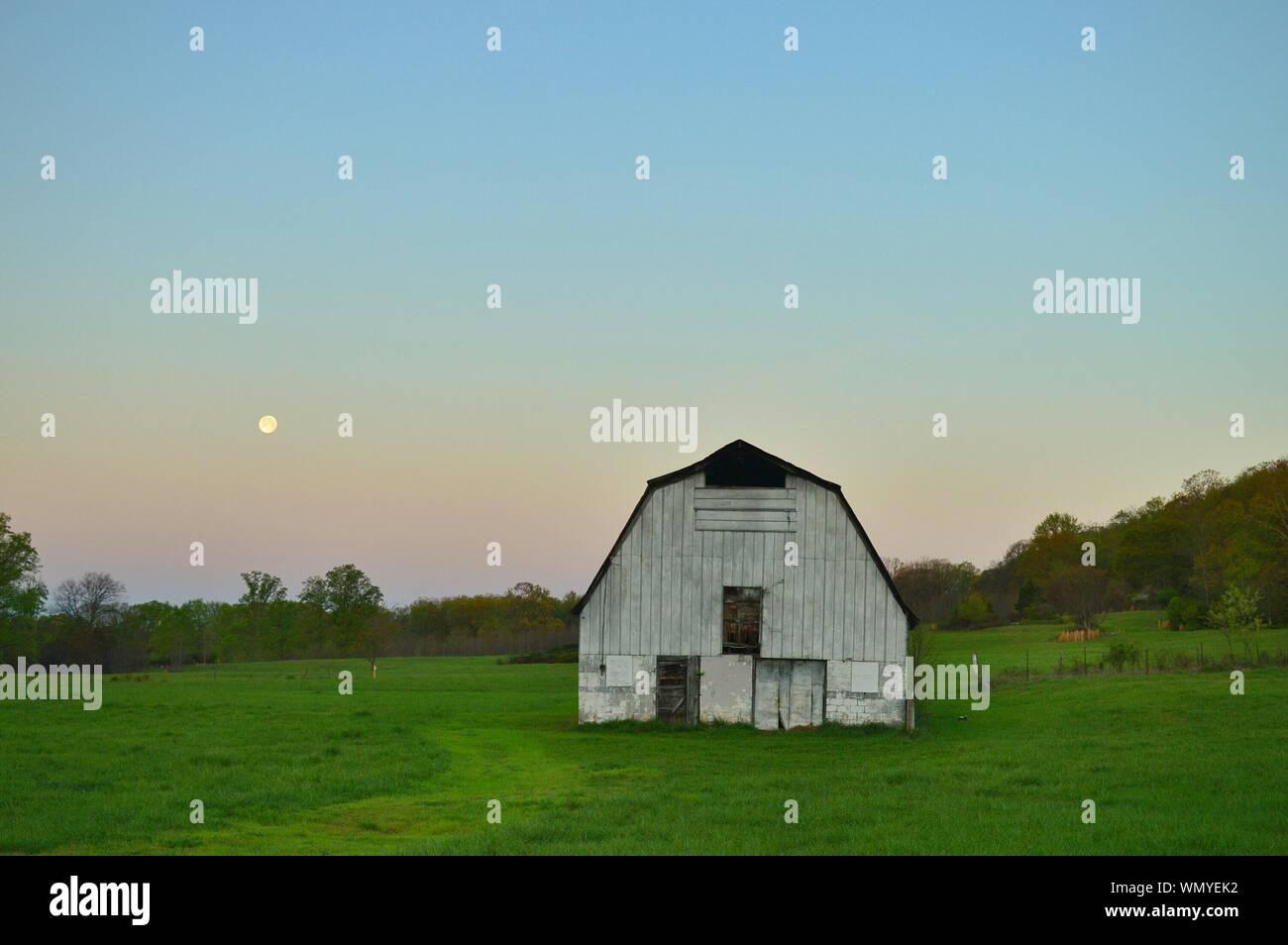 Barn grass hi-res stock photography and images - Alamy