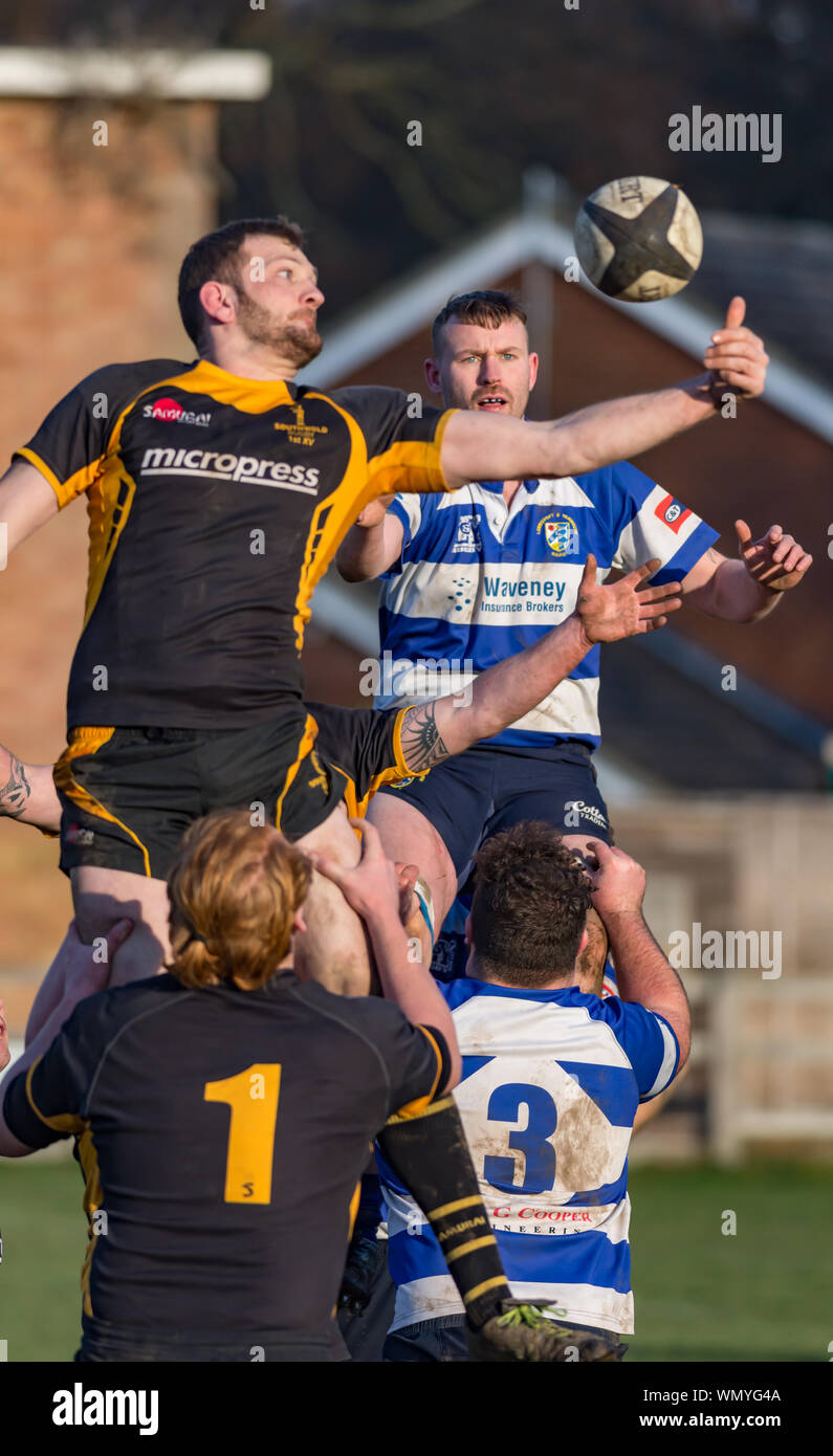 Rugby world cup refereeing hi-res stock photography and images - Alamy