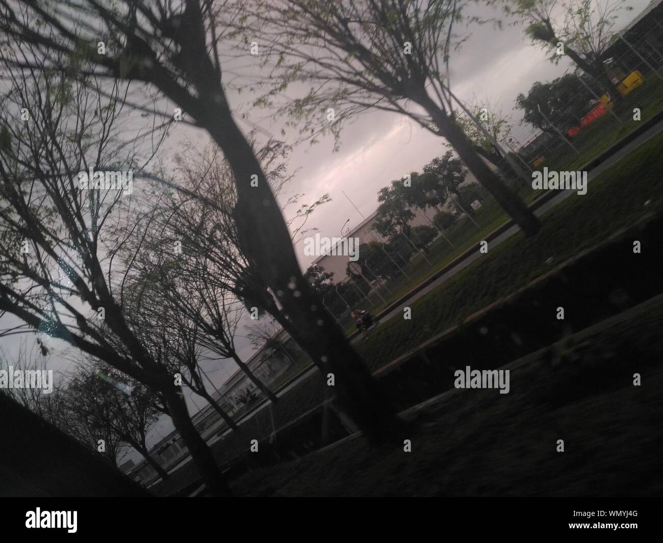 Silhouette tree branch through window High Resolution Stock Photography ...