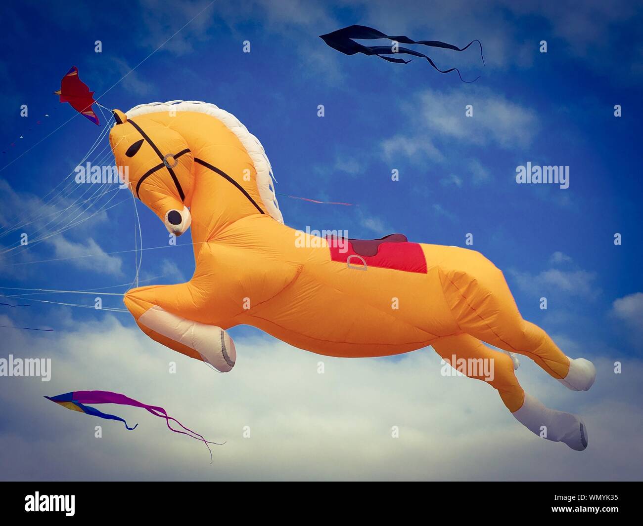 Inflatable Palomino Horse