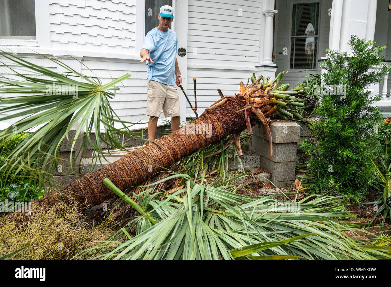 Bahamas dorian tree hi-res stock photography and images - Alamy