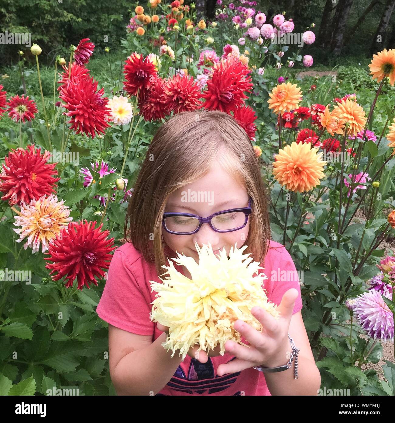 Cute Smiling Girl Smelling Yellow Dahlia In Park Stock Photo - Alamy