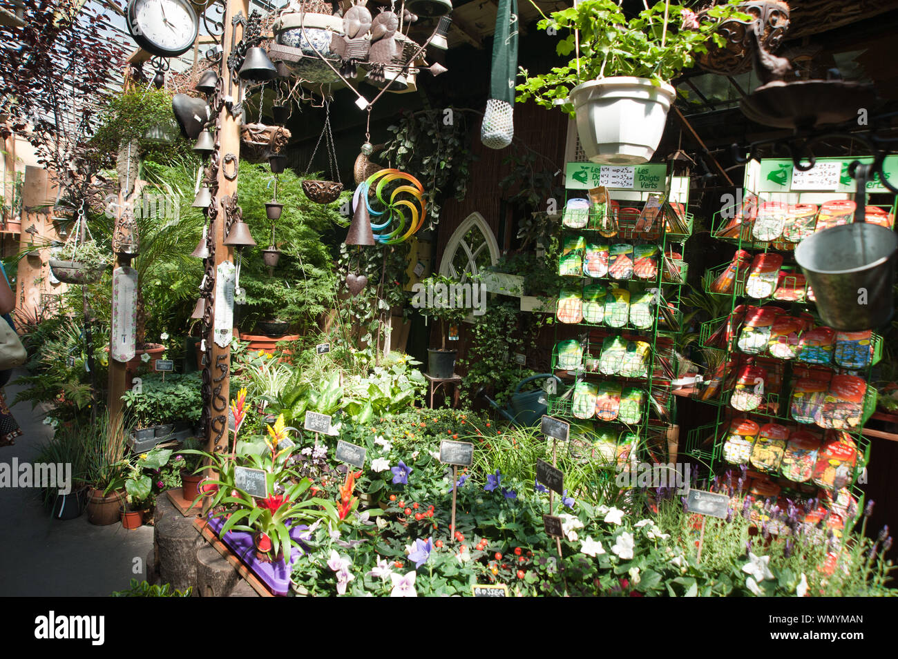 Paris, Ile de la Cite, Blumenmarkt - Paris, Ile de la Cite, Flower ...