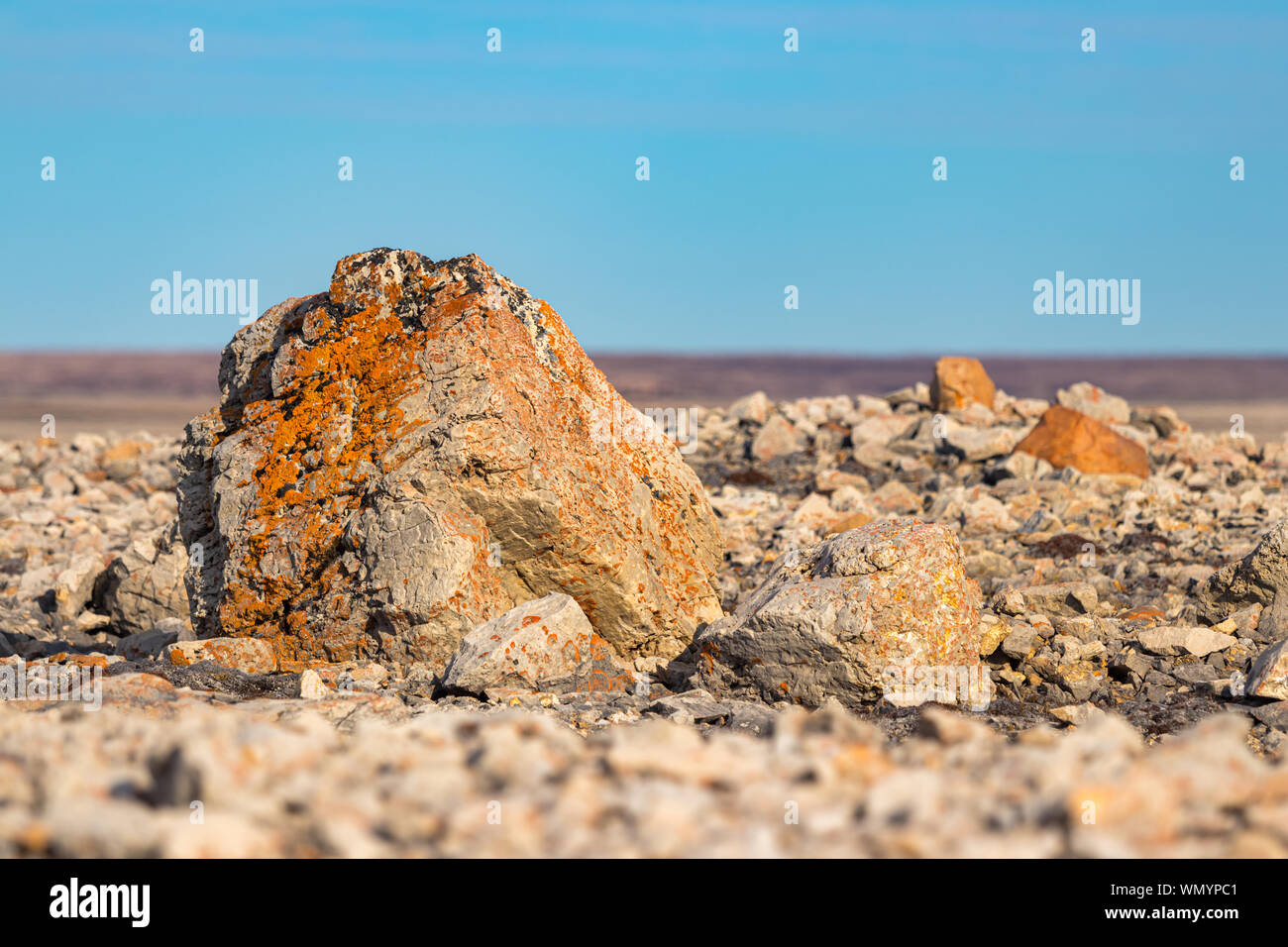 Victoria island nunavut hi-res stock photography and images - Alamy
