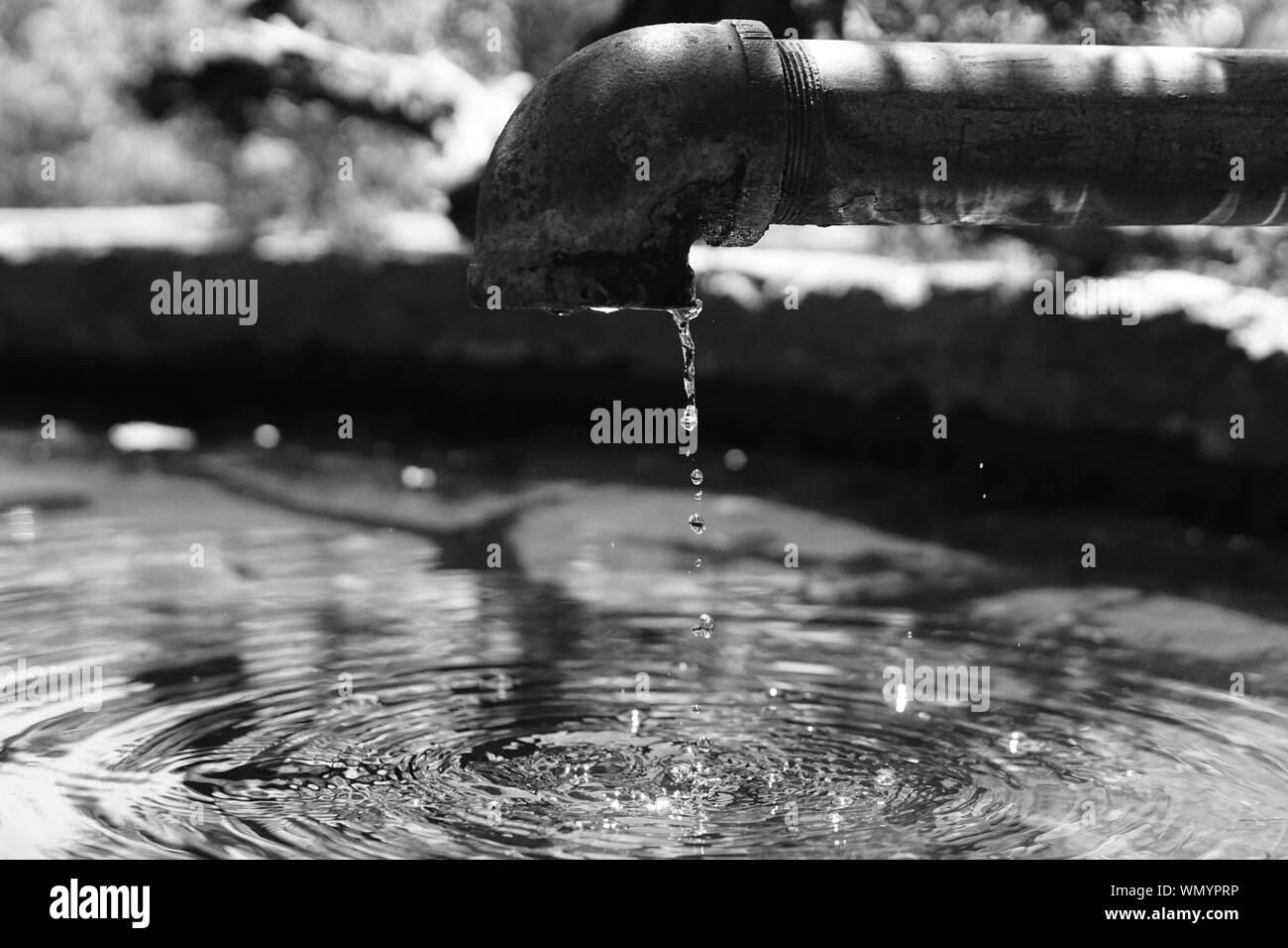 Dripping tap Black and White Stock Photos & Images - Alamy