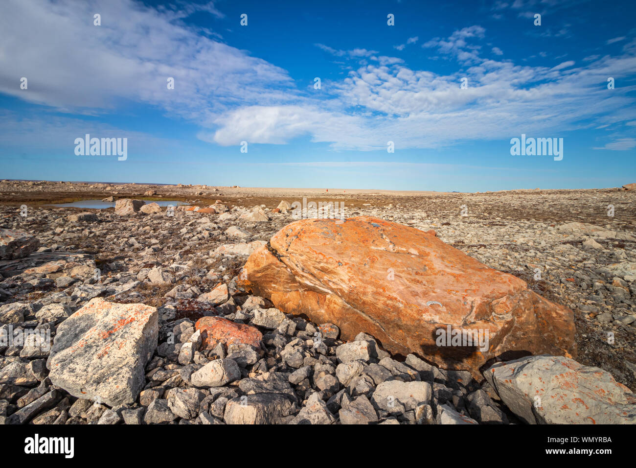 Lady richardson bay hi-res stock photography and images - Alamy