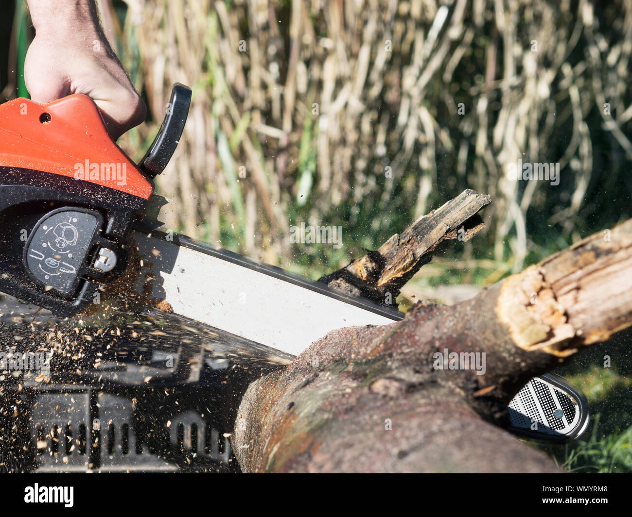 Cutting log hi-res stock photography and images - Alamy
