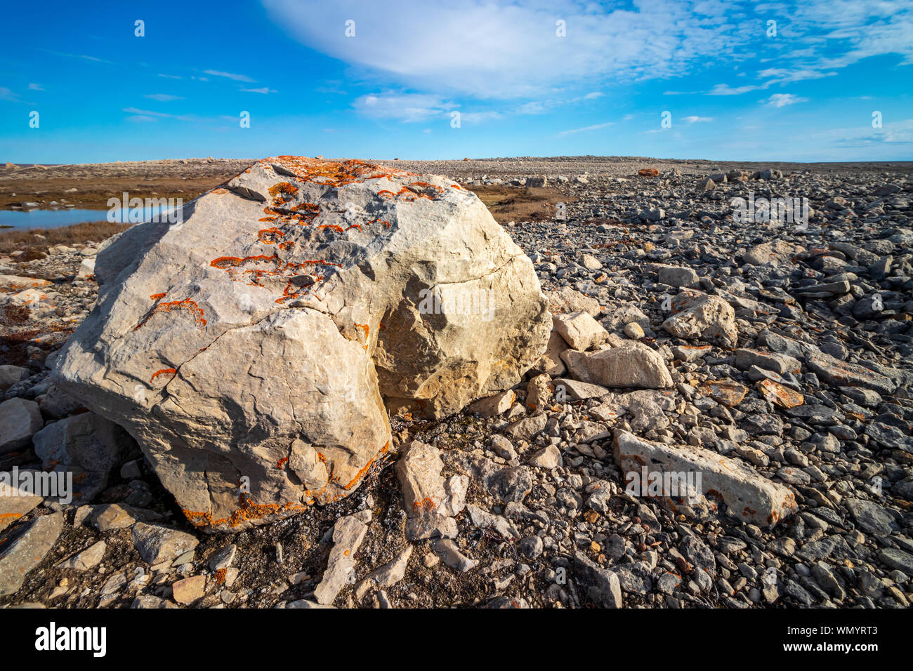 Rocks and stones on the beach of Lady Richardson Bay at the southwest ...