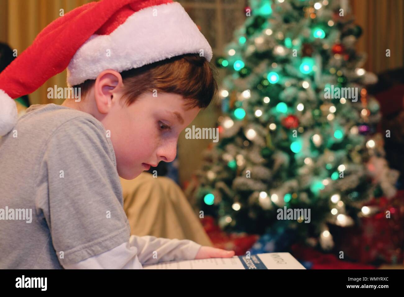 Book christmas tree hi-res stock photography and images - Alamy