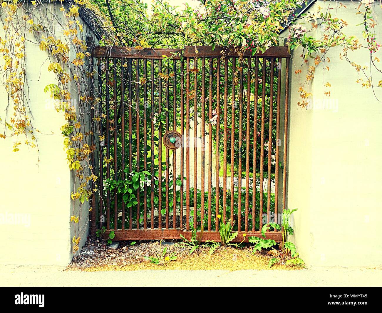Rusty metal gate hi-res stock photography and images - Alamy