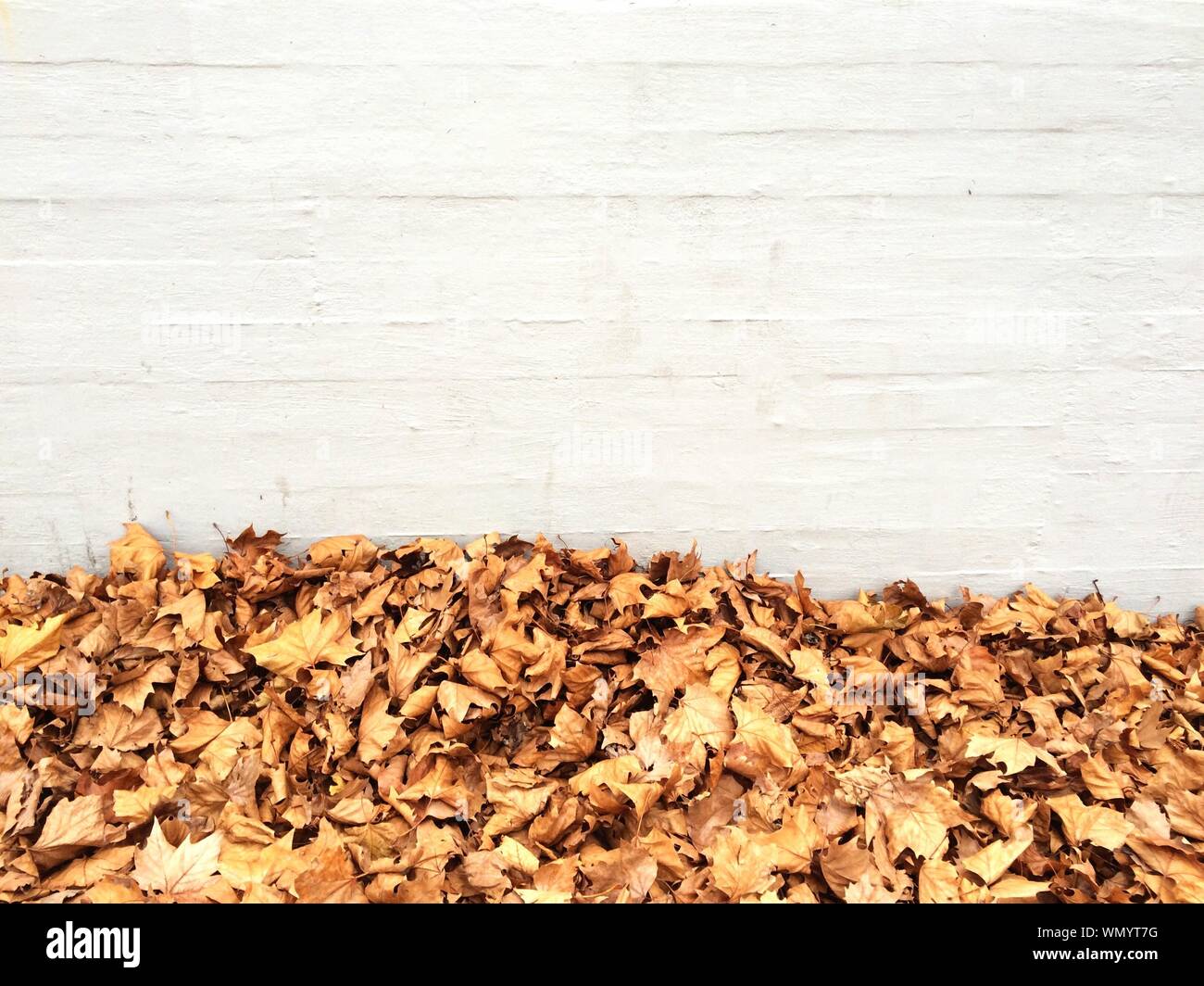 Heap leaves autumn hi-res stock photography and images - Alamy