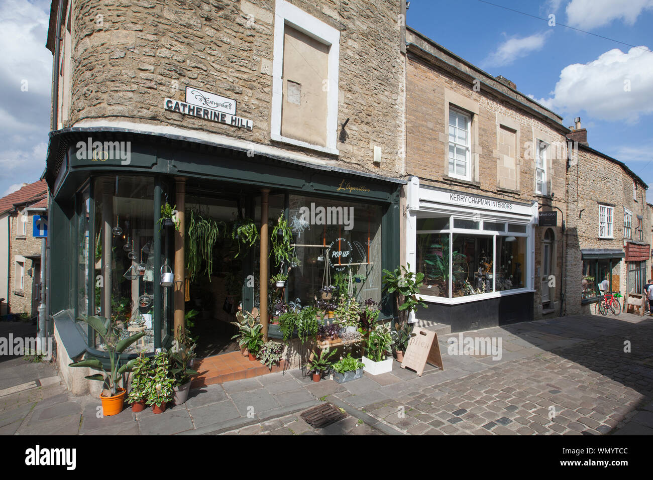 Somerset plants hi-res stock photography and images - Alamy