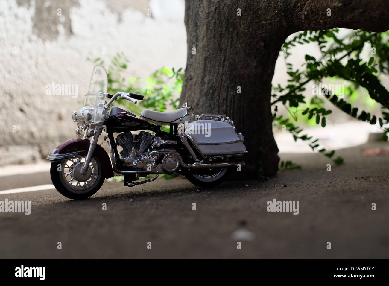 Tree and motorcycle hi-res stock photography and images - Alamy