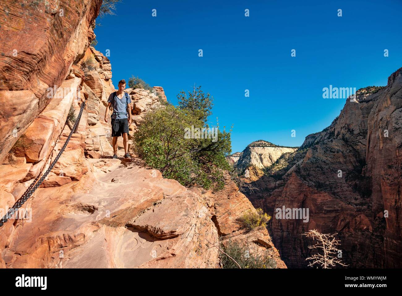Young man hiking on Angels Landing Trail, Zion National Park, Utah, USA ...