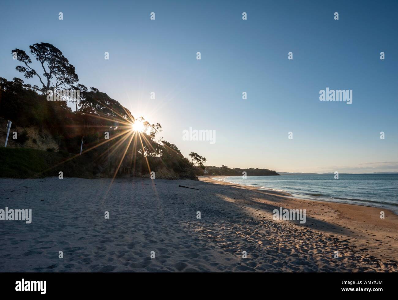 Sunbeams shine through trees on the sandy beach hi-res stock ...