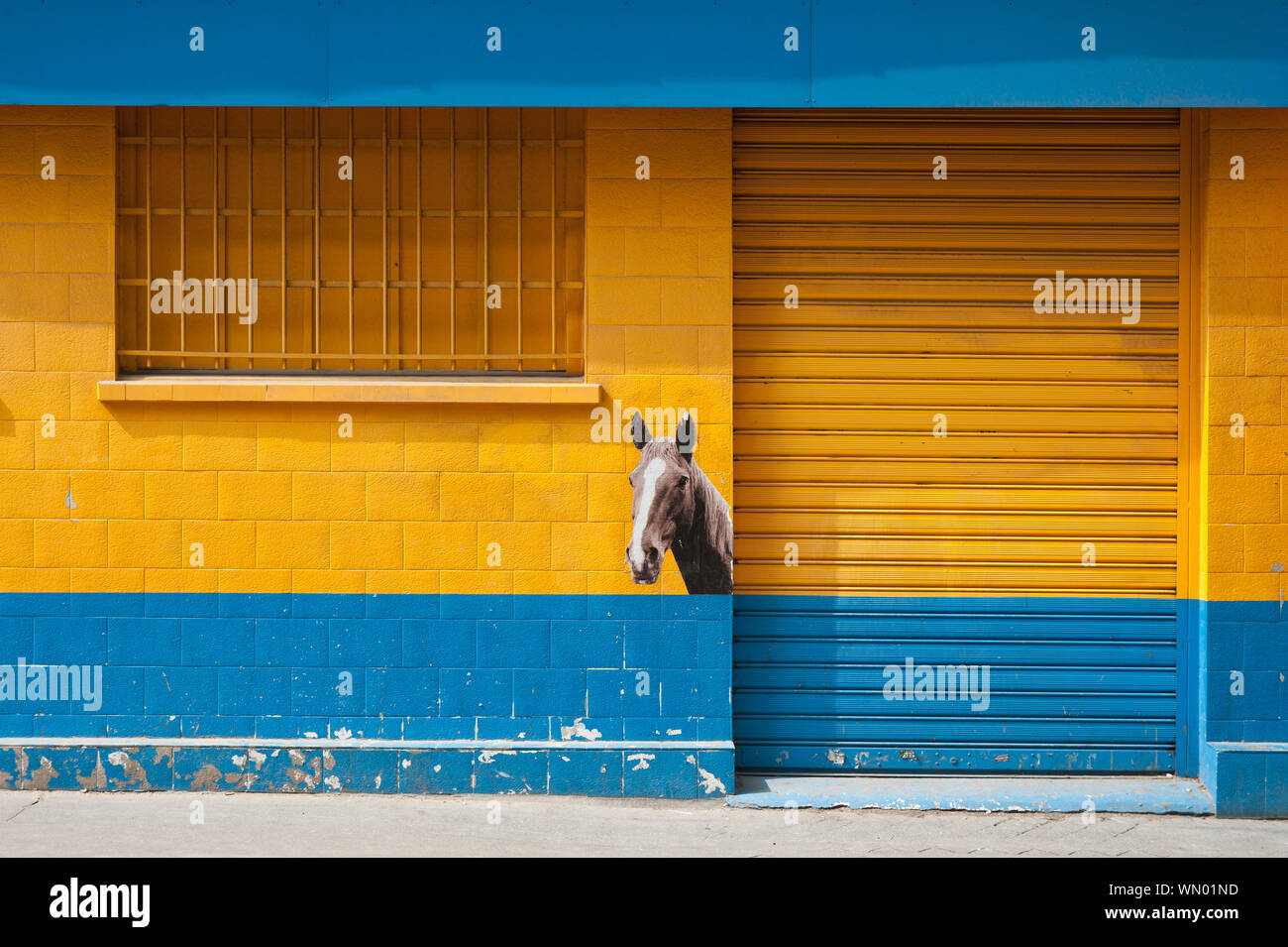 Blue shop front paris hi-res stock photography and images - Alamy