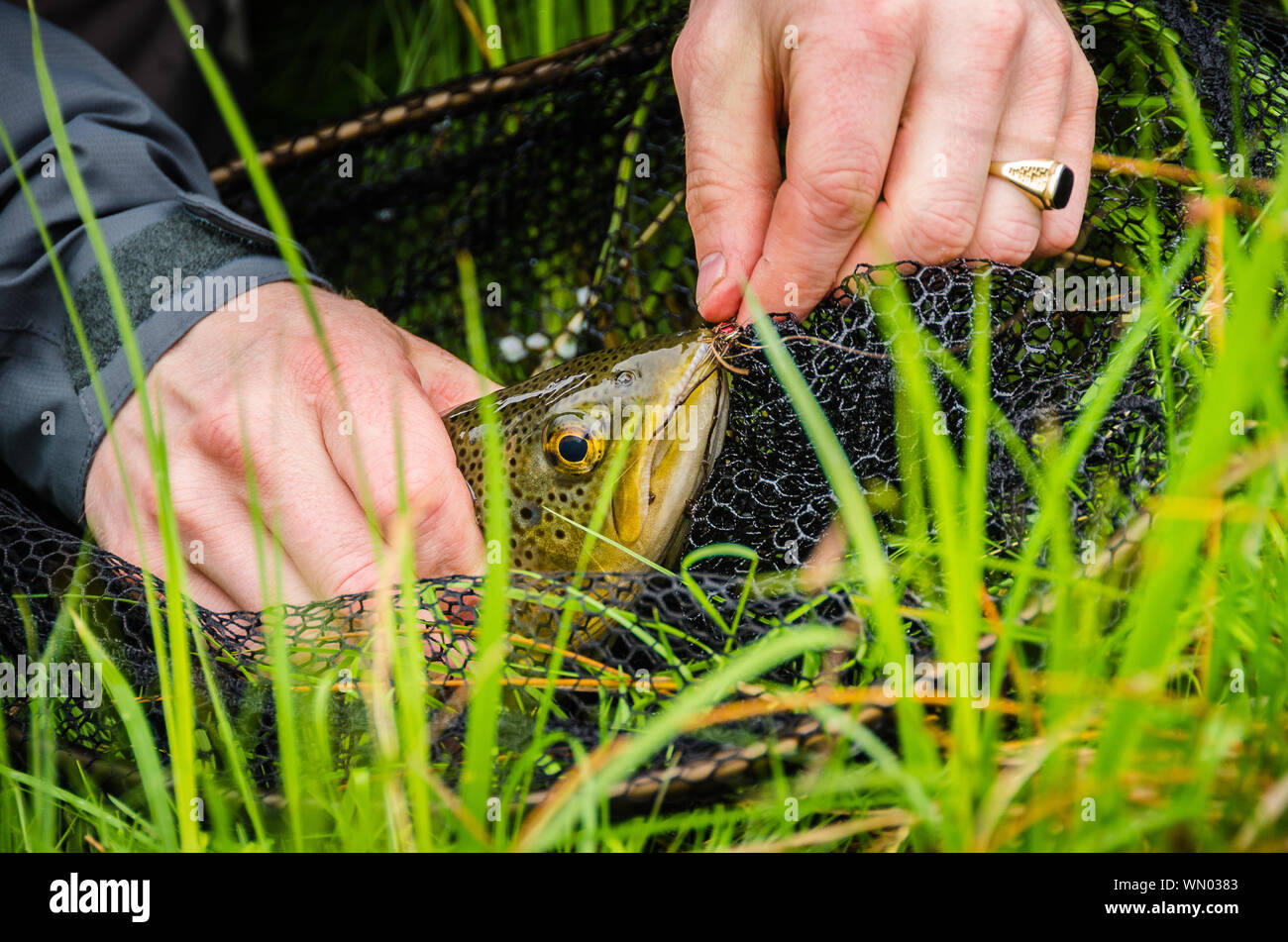 Men with caught fish hi-res stock photography and images - Alamy