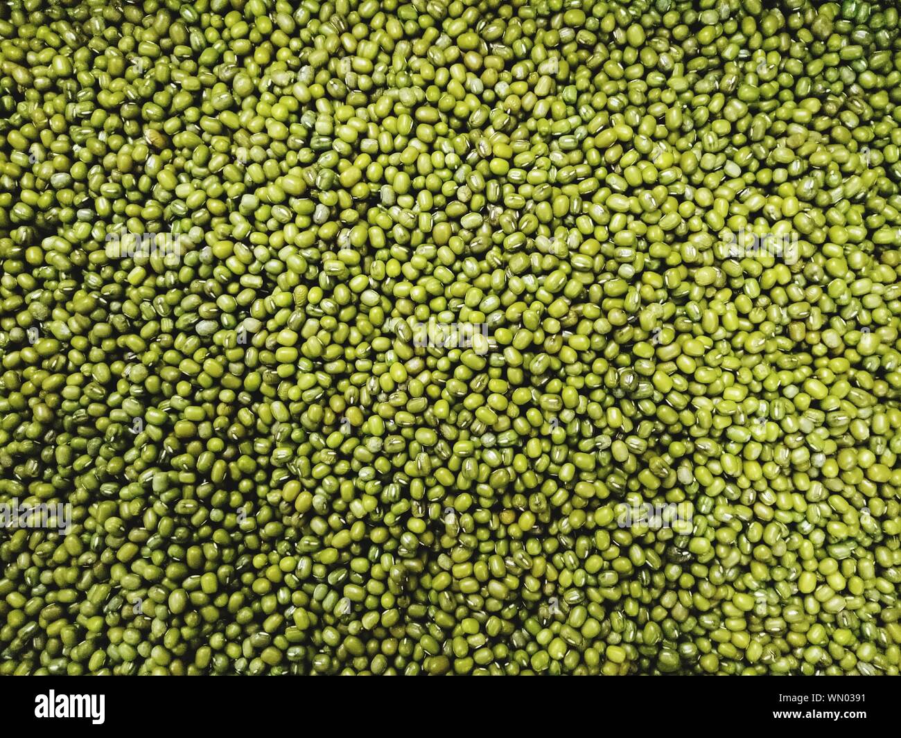 Full mung hi-res stock photography and images - Alamy