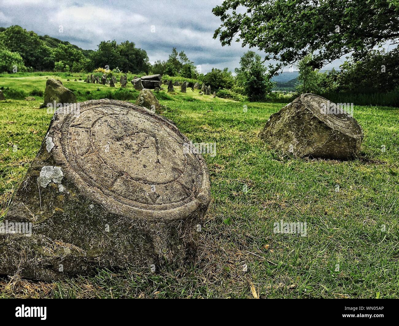 Beauty of the materials hi-res stock photography and images - Alamy