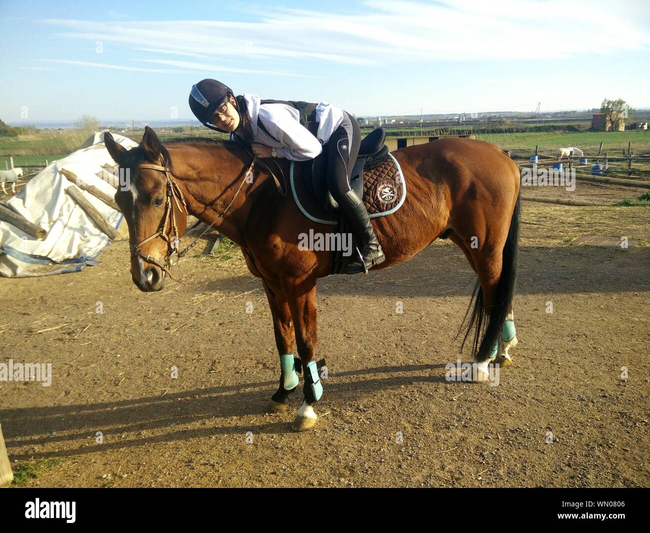 No horseback riding hi-res stock photography and images - Alamy