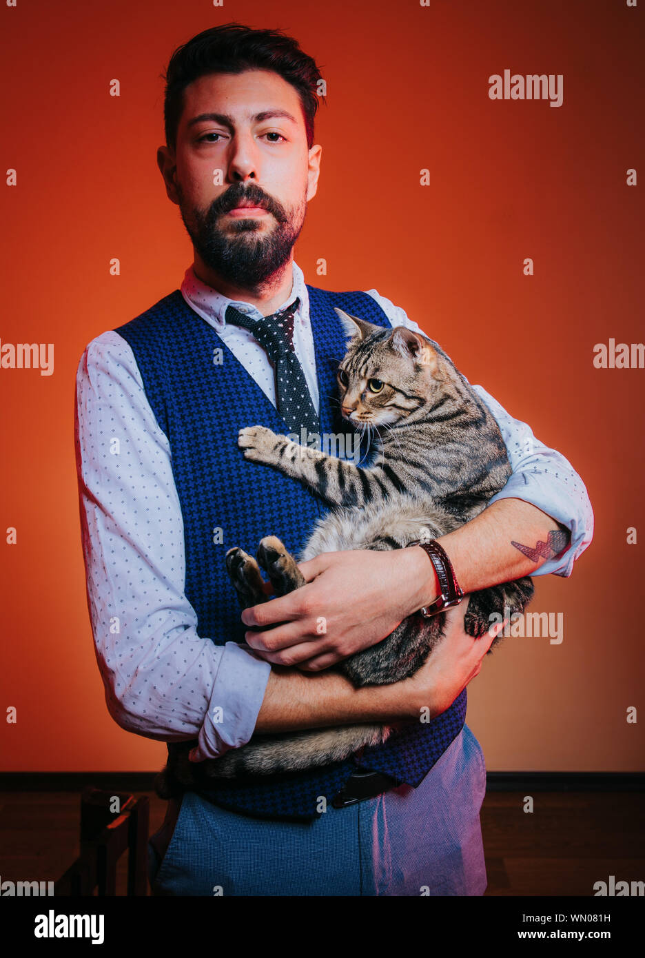 Person dressed as cat hi-res stock photography and images - Alamy