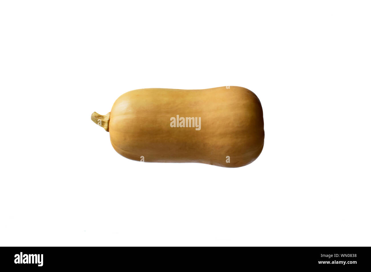 Butternut pumpkin isolated on white background Stock Photo - Alamy